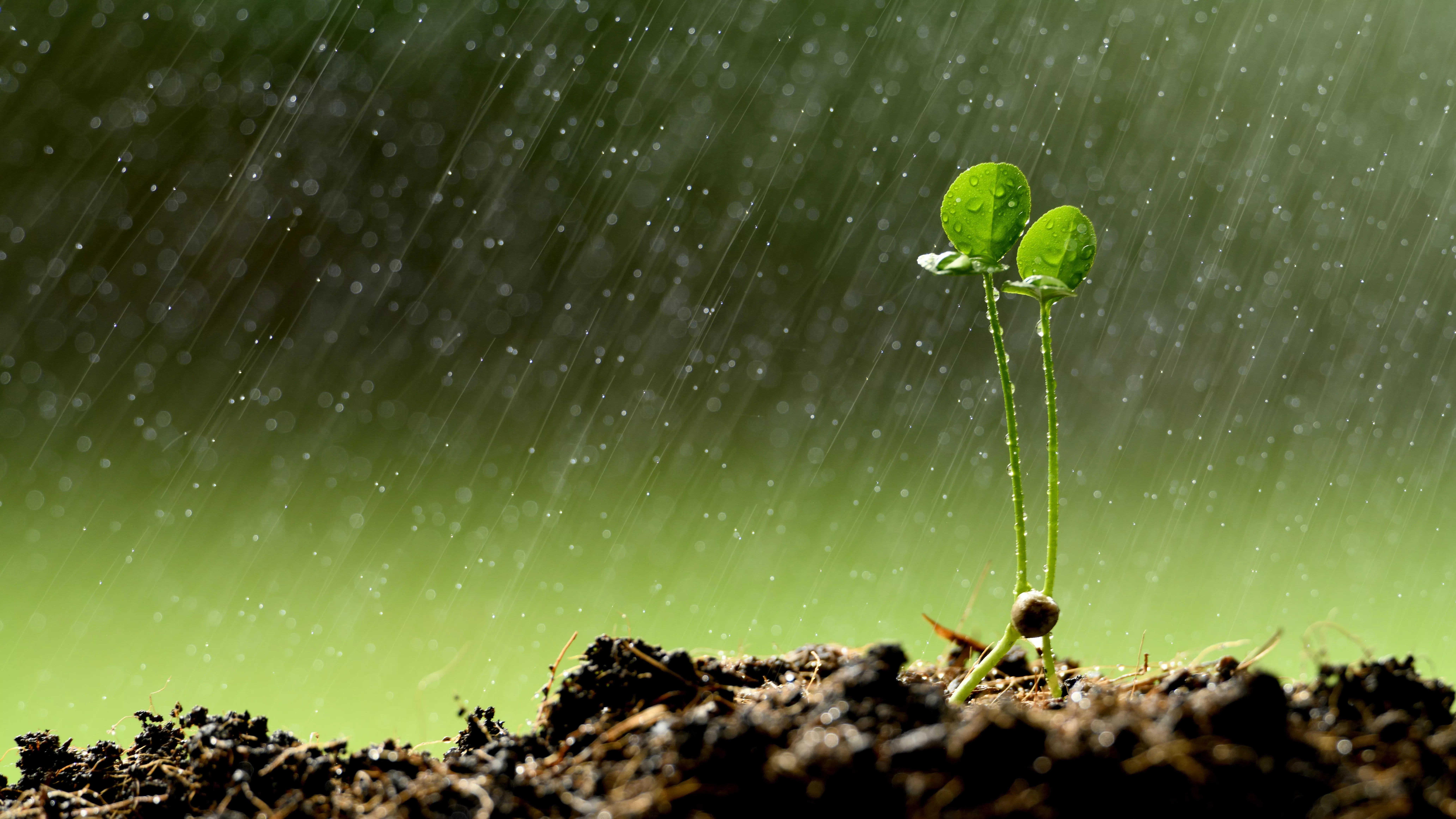 Building a resilient food system | IGD (Institute of Grocery Distribution)