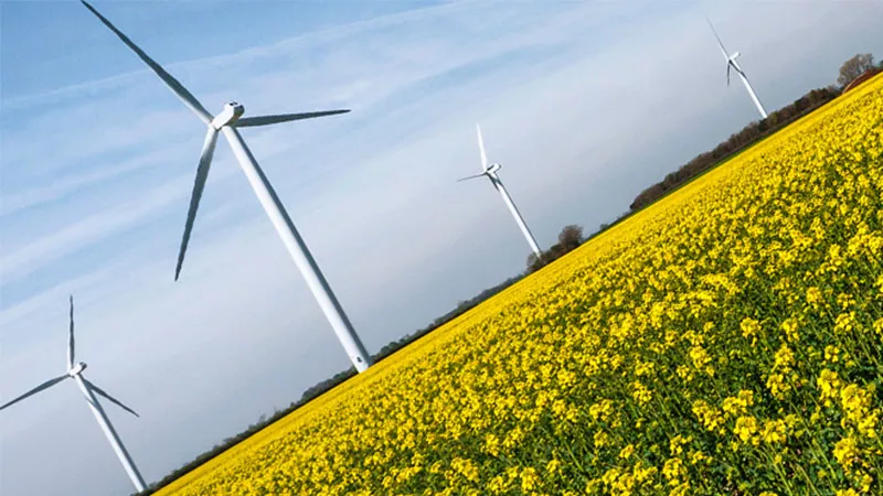 Building your Net Zero roadmap: A guide for industry leaders and ...