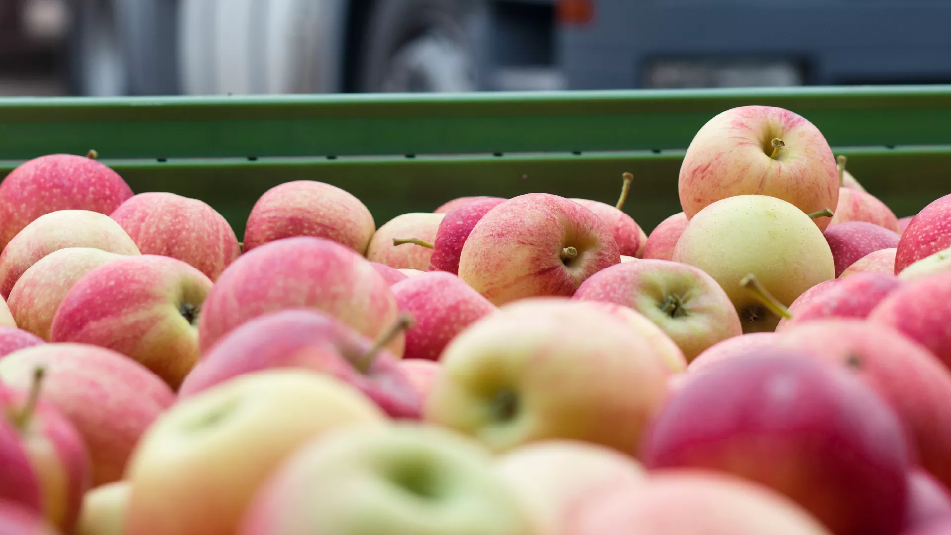 Leading food experts join Government food strategy | IGD (Institute of ...