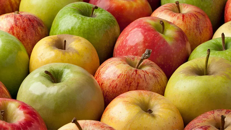 Food waste reduction roadmap webinar | IGD (Institute of Grocery ...