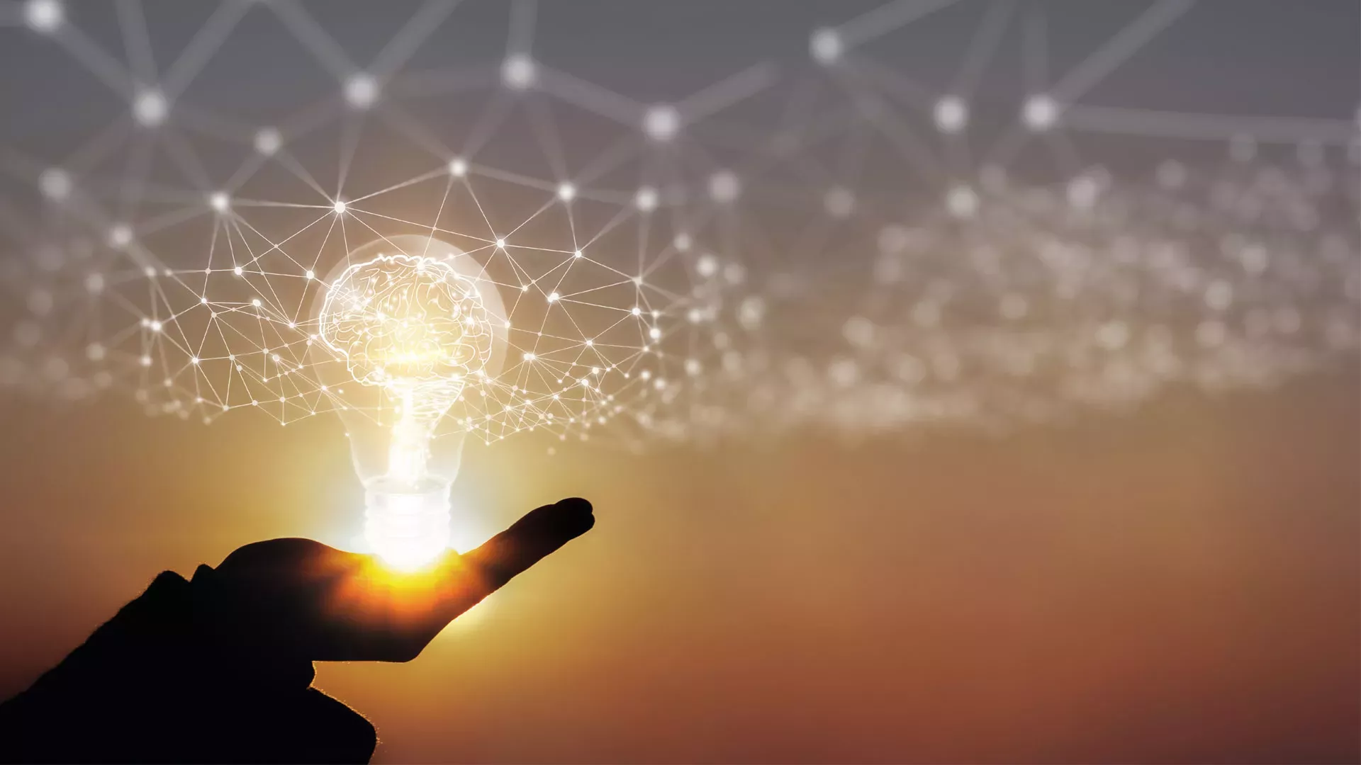 2015 to 2024: how has the UK market evolved? | IGD (Institute of ...