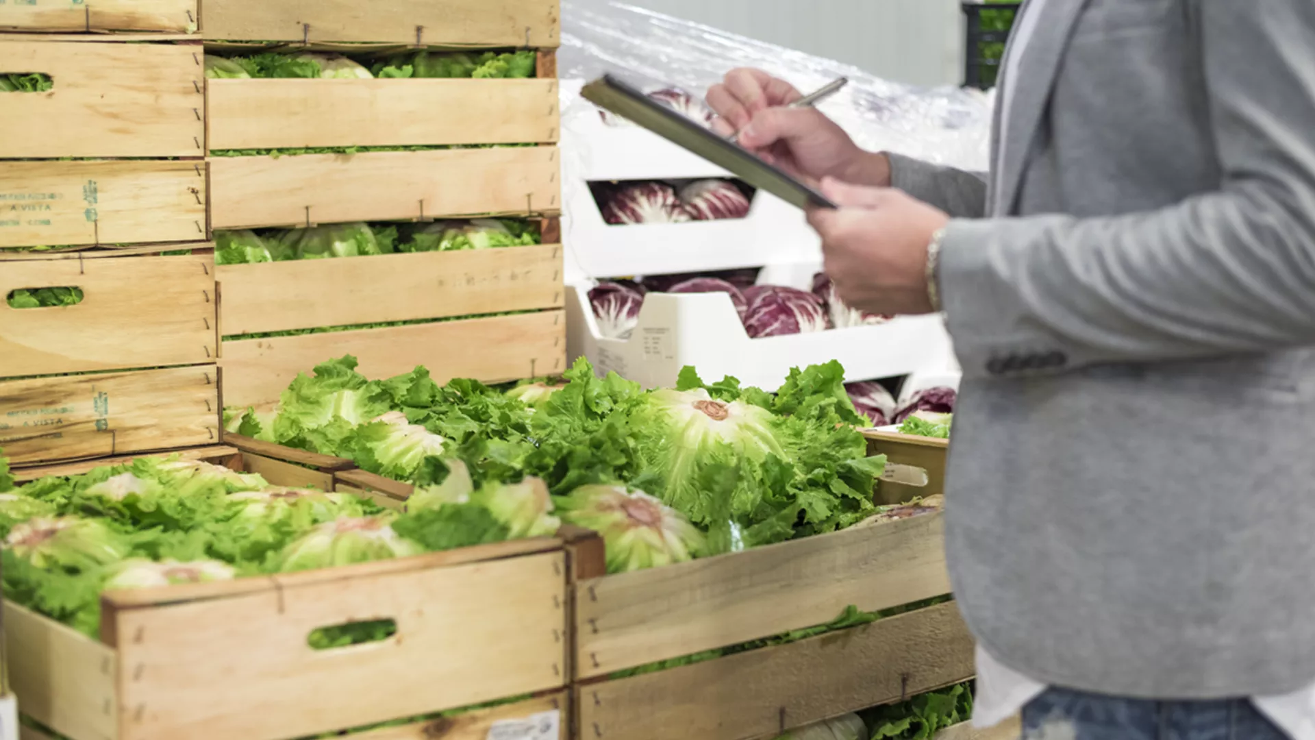 UK wholesale forecast 2024-2029 | IGD (Institute of Grocery Distribution)