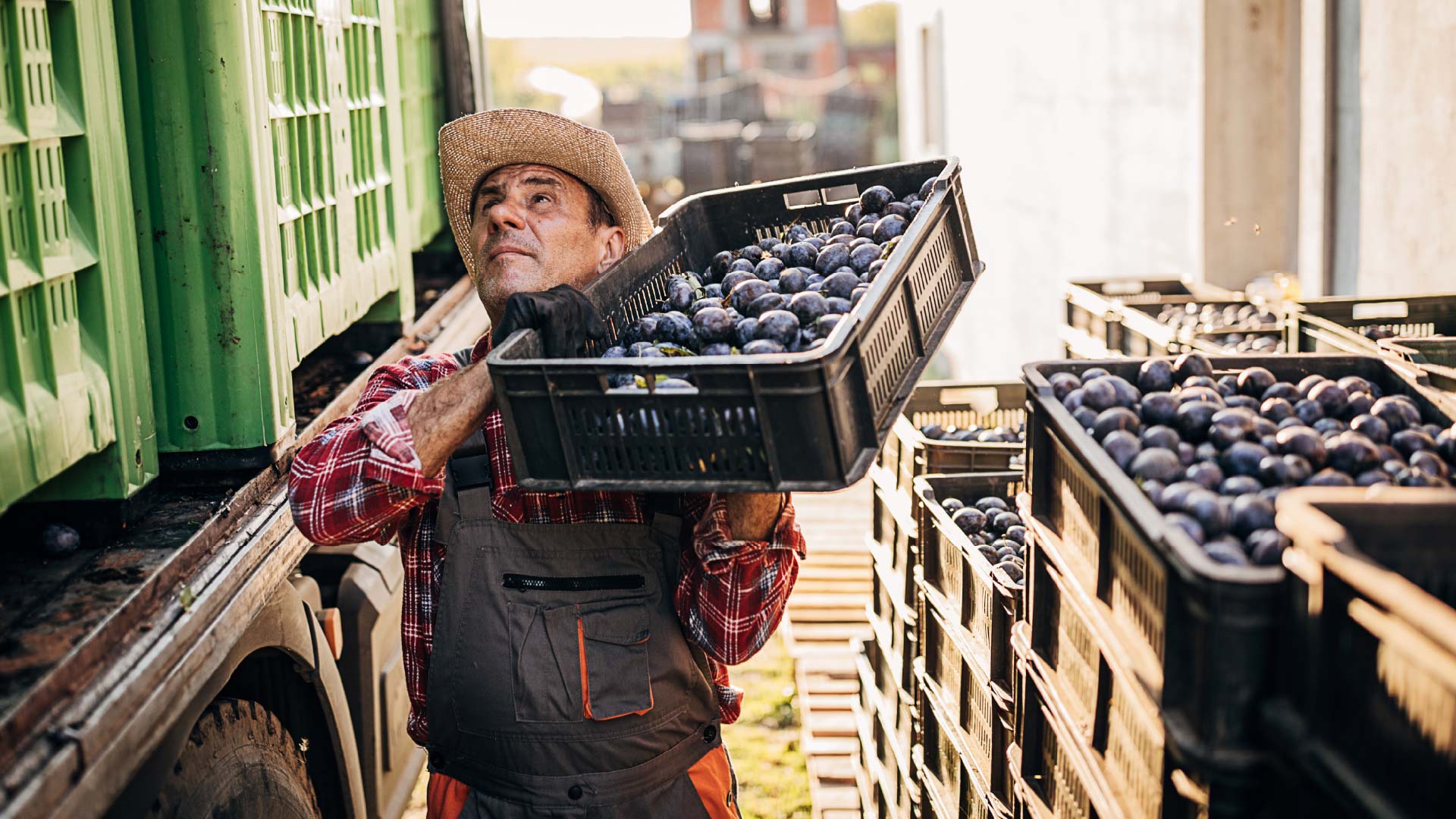 Global channel forecasts 2024-2029 | IGD (Institute of Grocery ...